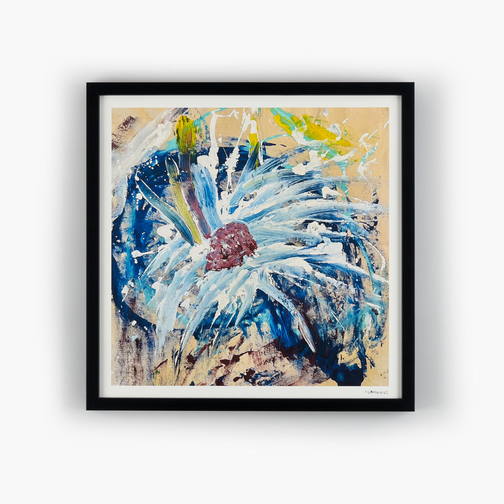 Clara Woods Collection